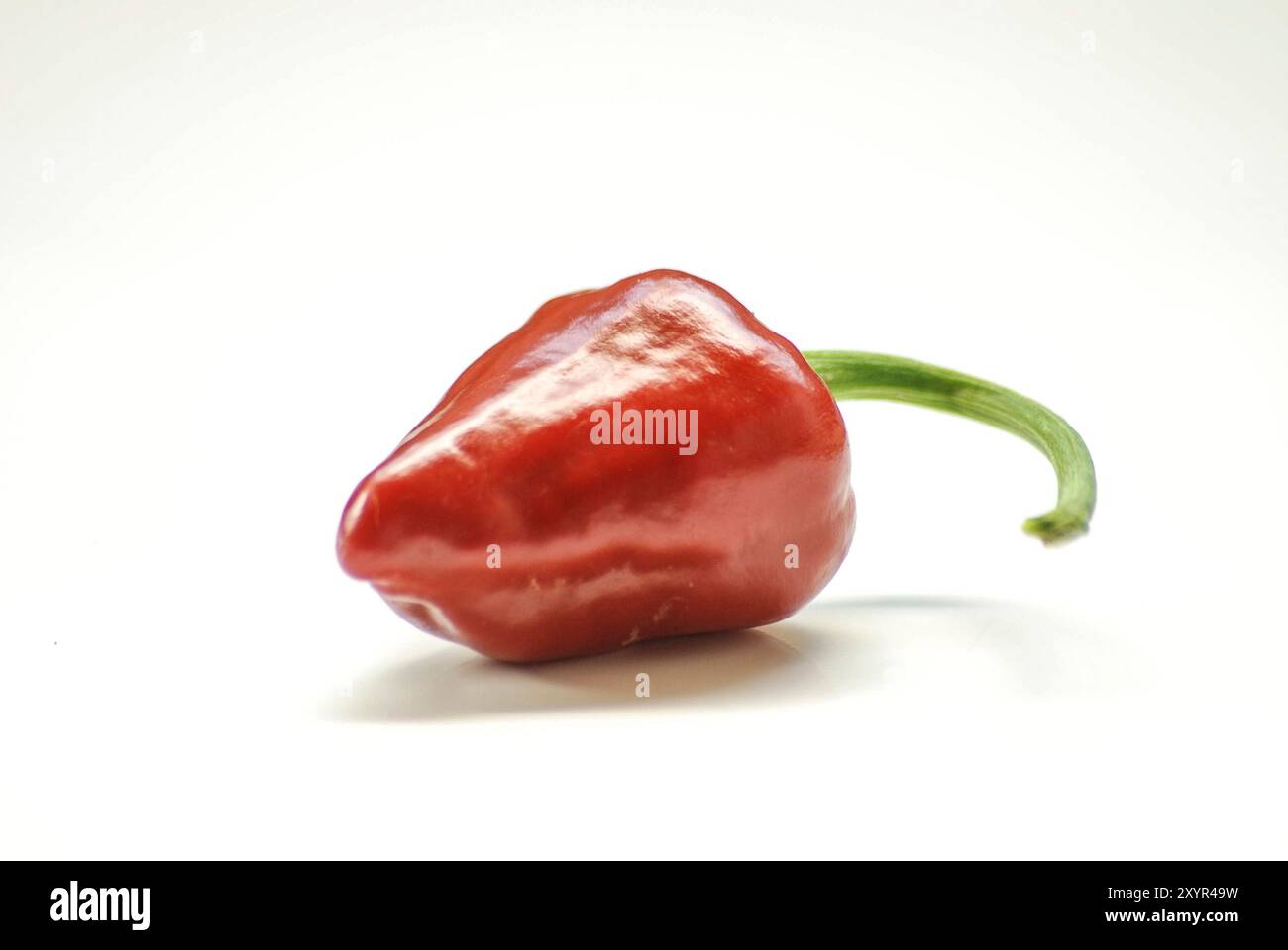 Concept photography of red chilli isolated on white Stock Photo - Alamy