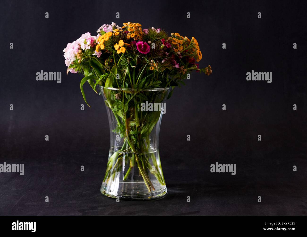 Collection of wildflowers hi-res stock photography and images - Alamy