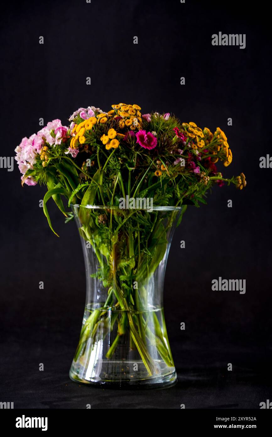 Collection of wildflowers hi-res stock photography and images - Alamy