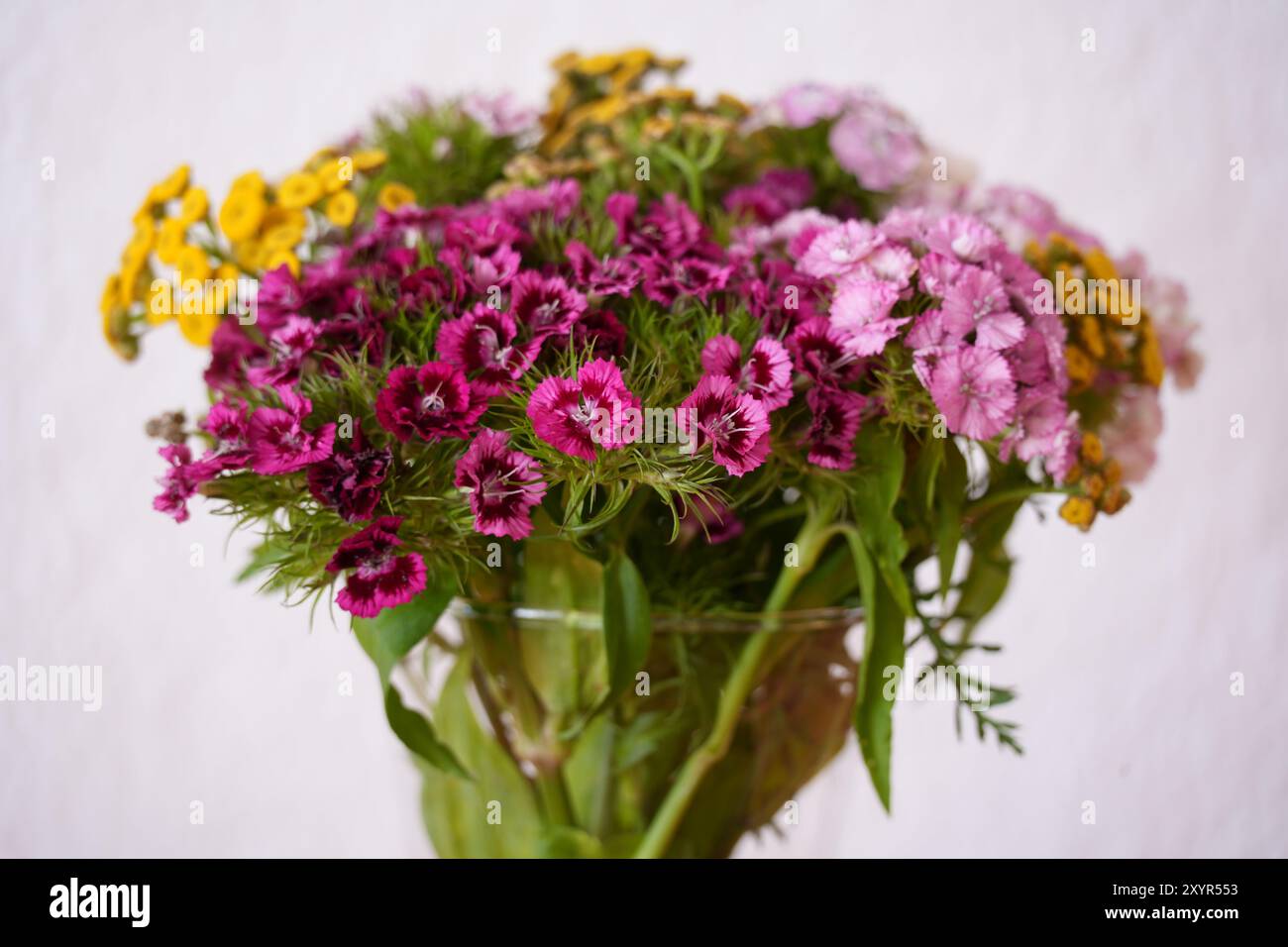 Summer bunch collection hi-res stock photography and images - Alamy