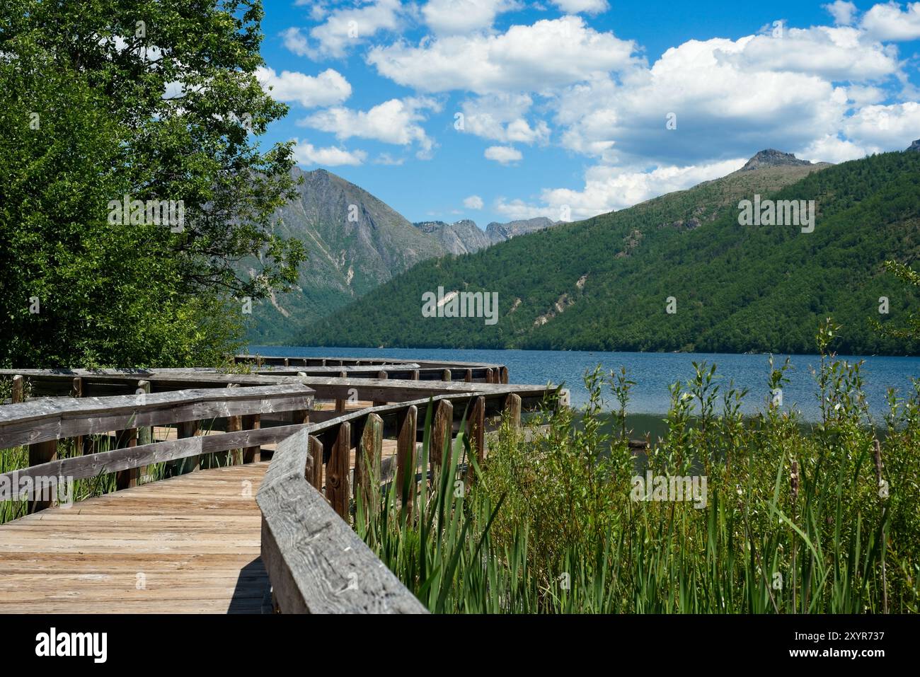 A hiking trail along Coldwater Lake near Mount St Helens in Washington ...