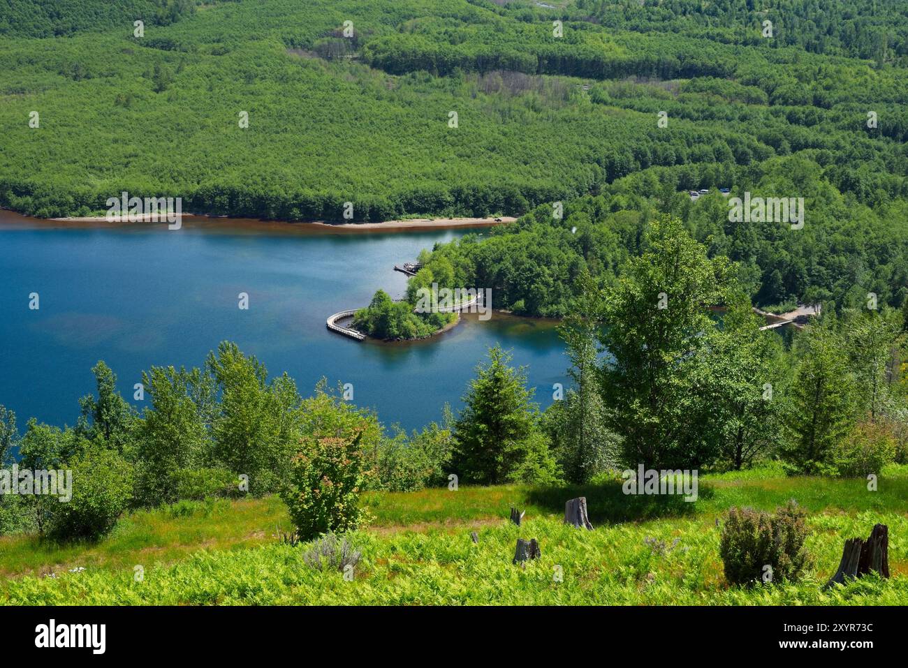 Coldwater Lake in Washington near Mount St Helens from an overlook high ...