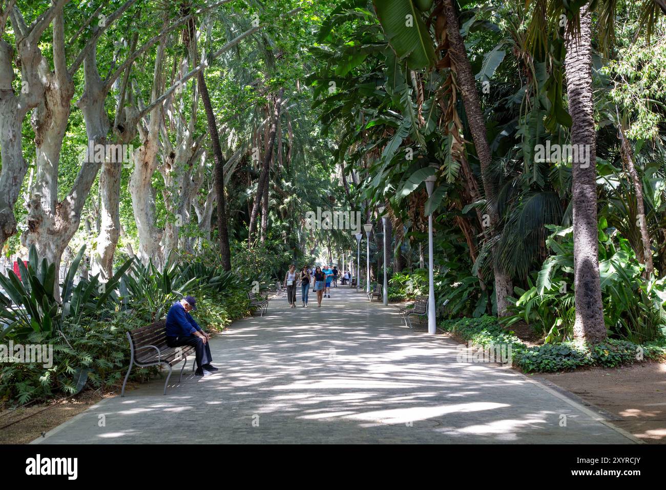Paseo del Parque in Malaga, Spain Stock Photo - Alamy Paseo del Parque in Malaga, Spain Stock Photo - Alamy