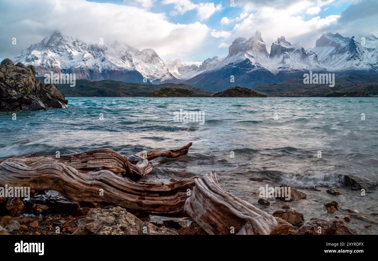 in the shore of lake Lago del Pehoe in the Torres del Paine national ...