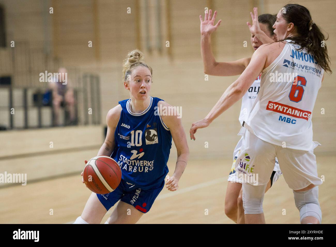 Halle lions mbc hi-res stock photography and images - Alamy