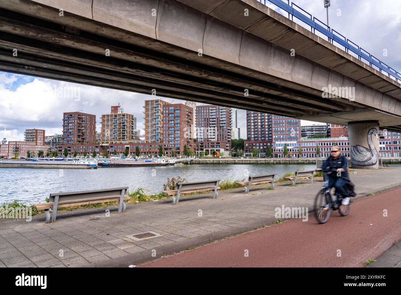 Bridge for the metro railroad, harbor basin of the Maashaven ...