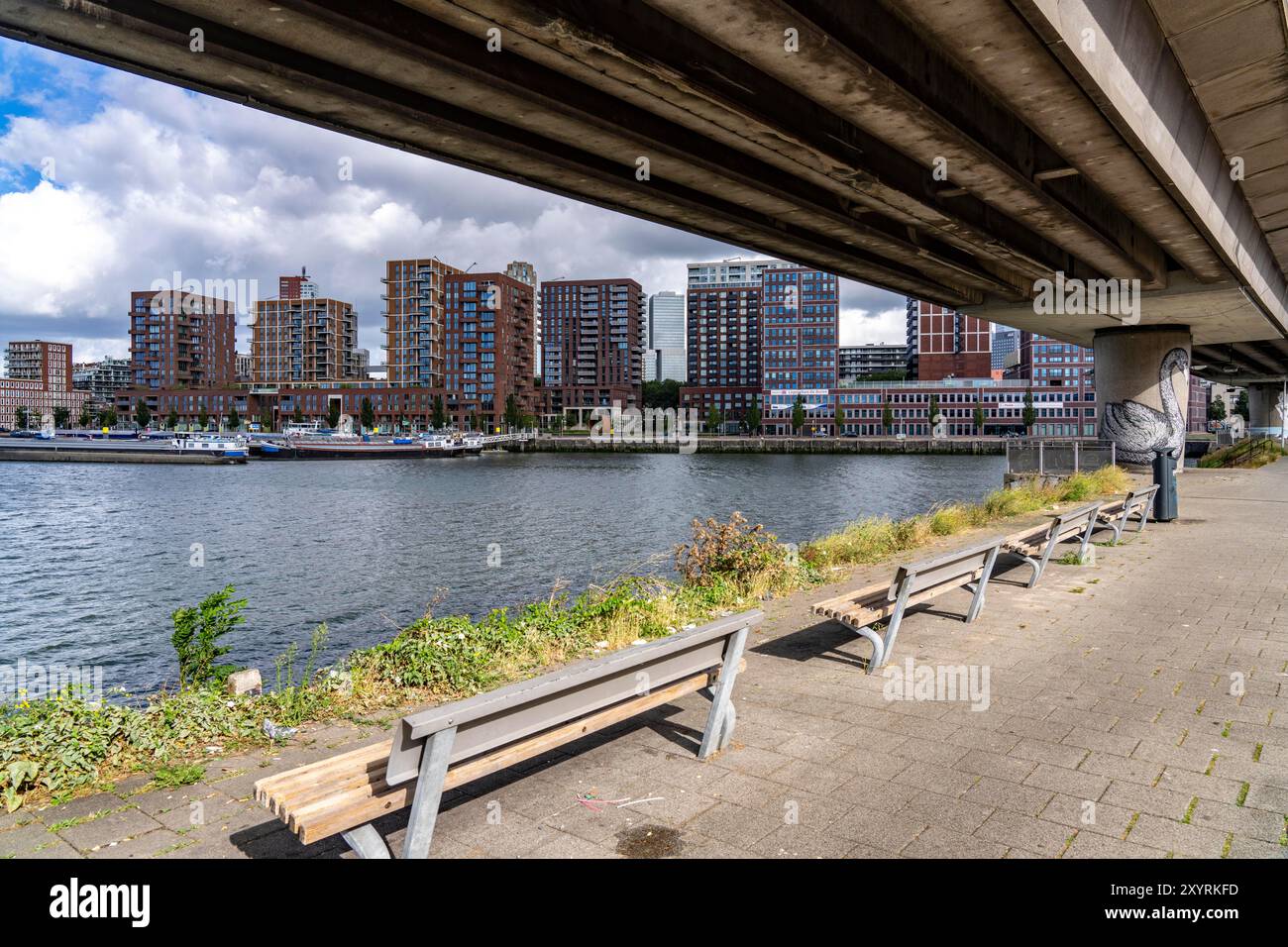 Bridge for the metro railroad, harbor basin of the Maashaven ...