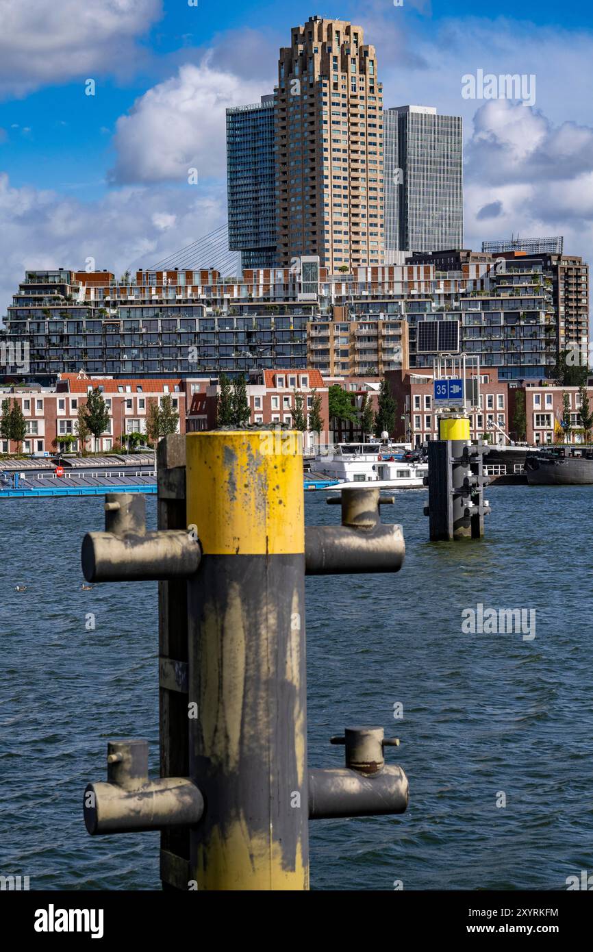 Harbour basin of the Maashaven, inland waterway port, jetties ...