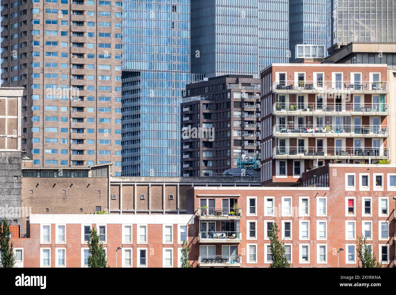 New high-rise residential buildings in the Katendrecht neighborhood ...