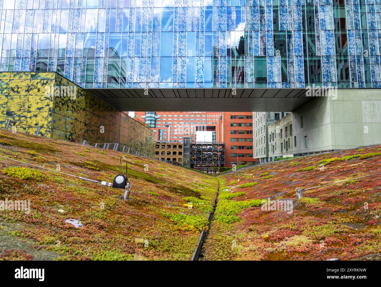 Green spaces around buildings, here at Hogeschool Inholland Rotterdam ...