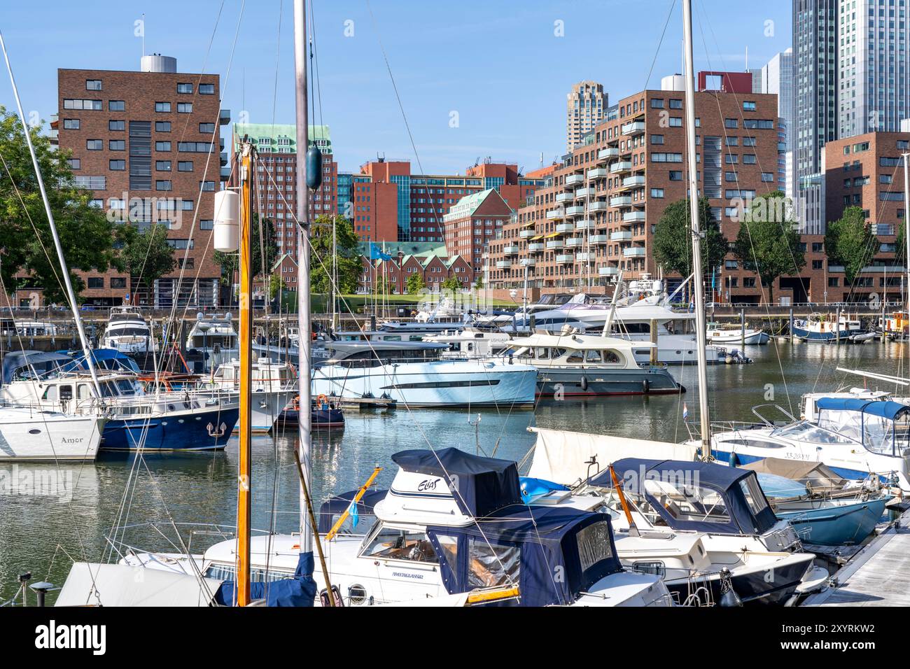 Rotterdam Marina, behind residential high-rise buildings at ...
