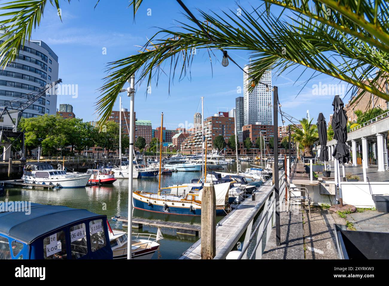 Rotterdam Marina, sports boat harbor, sailing boats, motor yachts, in ...