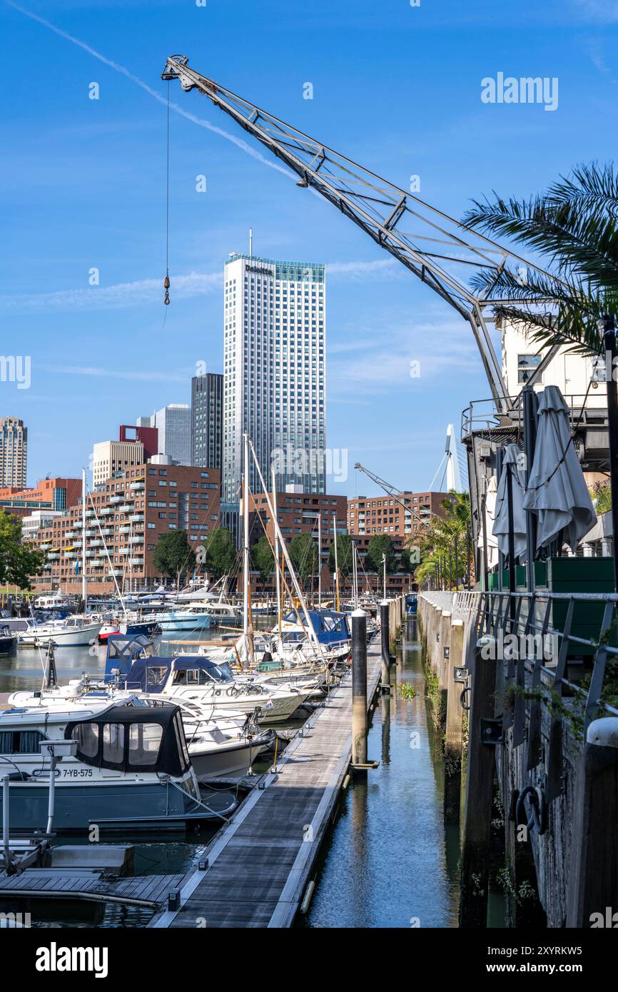 Rotterdam Marina, gastronomy, nightlife district, pleasure craft harbor ...