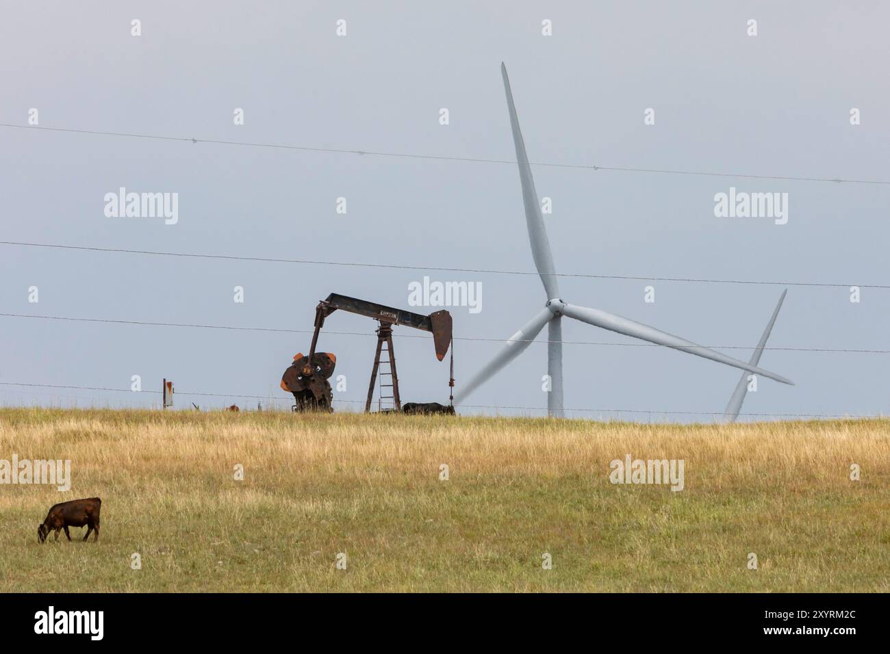 Osage nation murders hi-res stock photography and images - Alamy