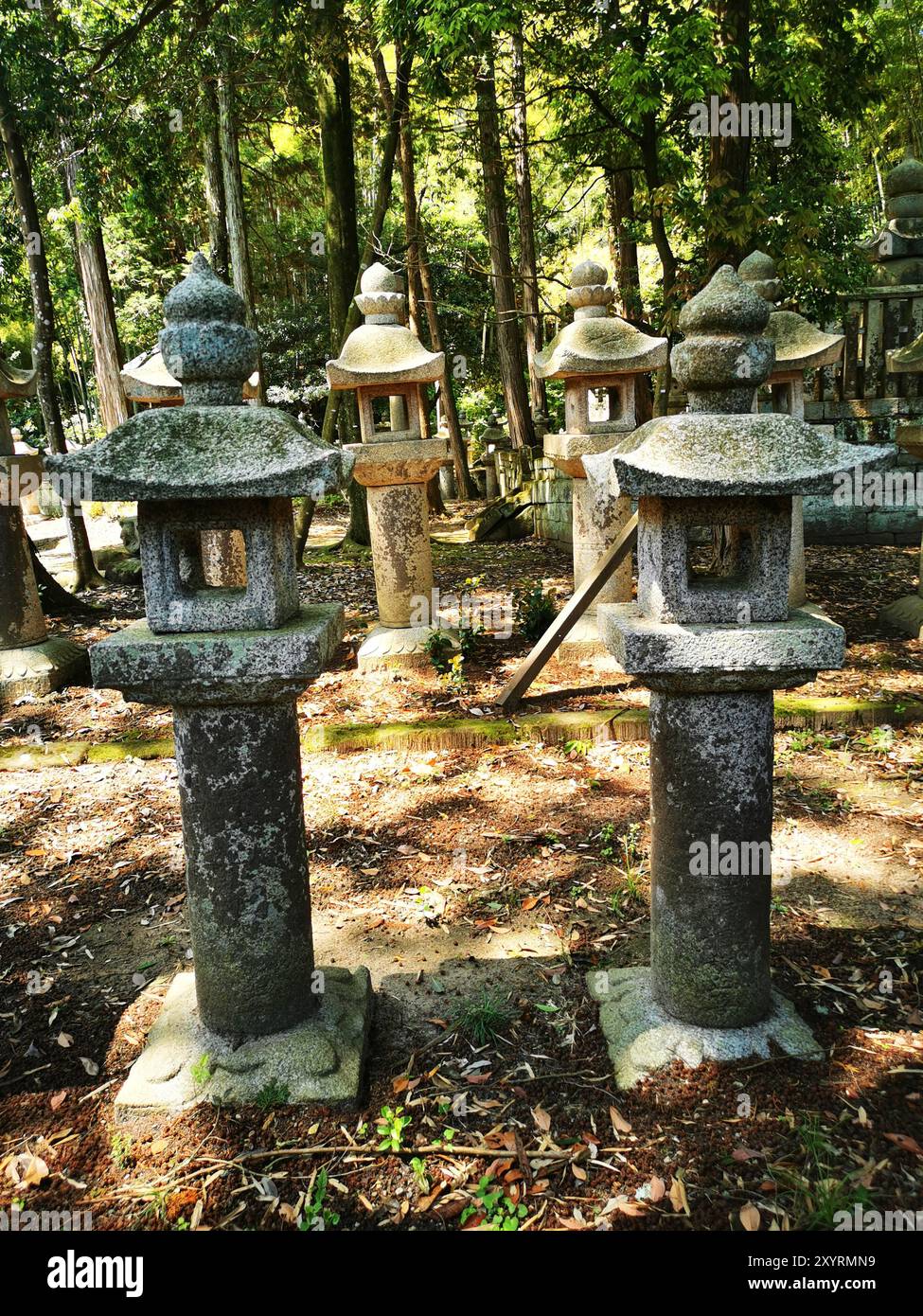 Stone lanterns in Gesshoji Temple, also called The temple of Moonlight ...