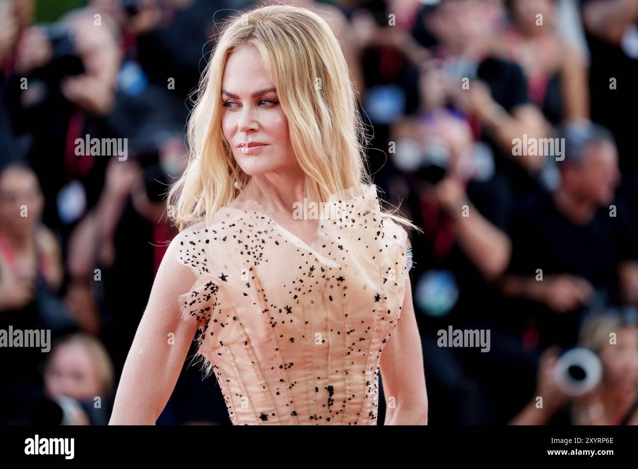 VENICE, ITALY - AUGUST 30 2024 - Nicole Kidman attend the red carpet of ...