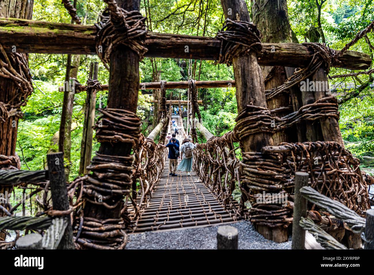 Vine Bridge called Kazurabashi over Iya River, important Tangible Folk ...