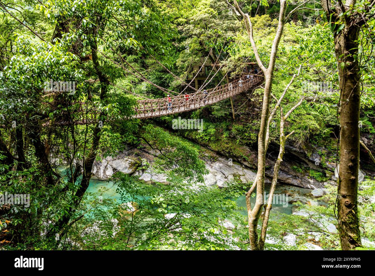 Vine Bridge called Kazurabashi over Iya River, important Tangible Folk ...