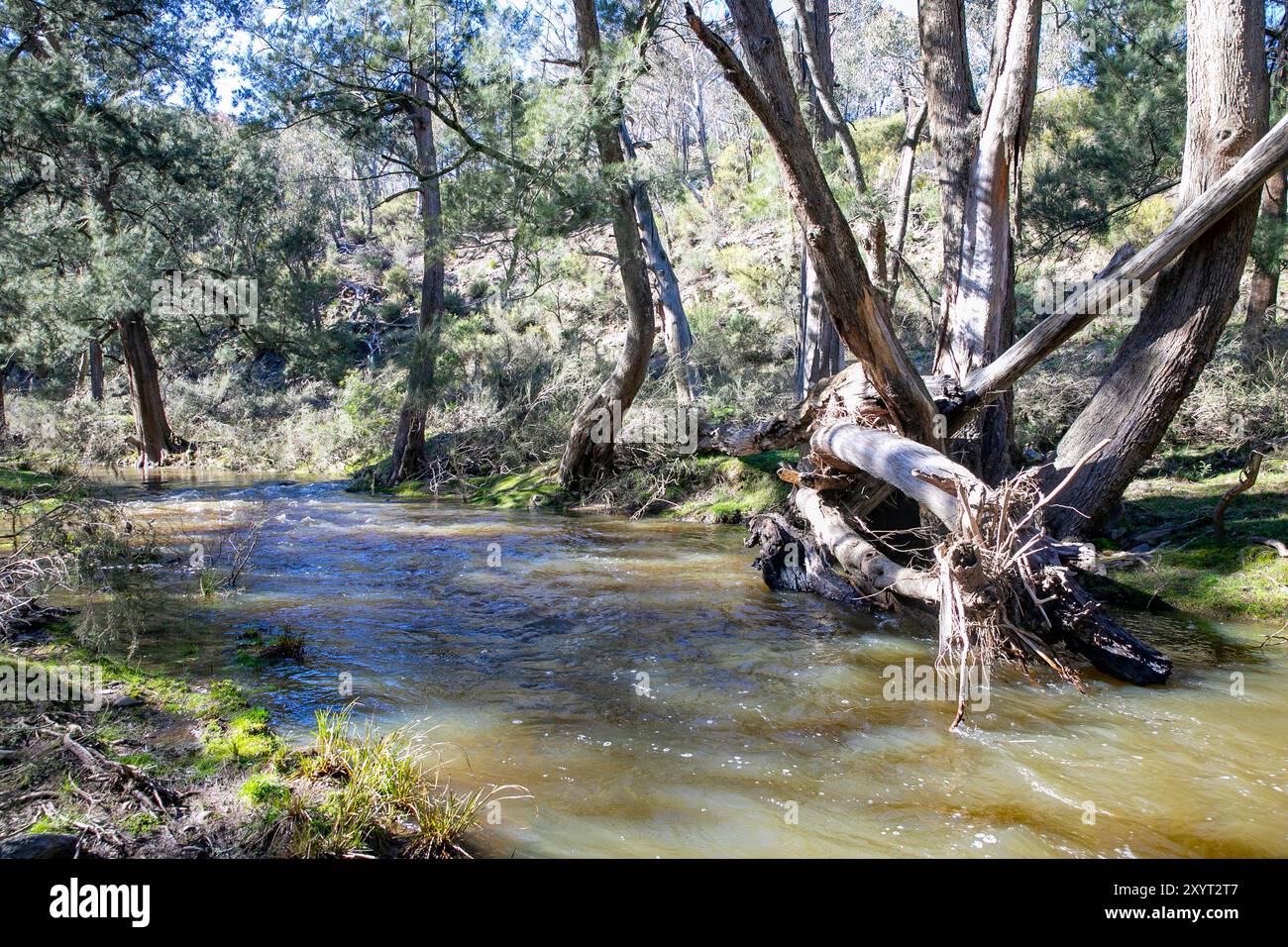 Abercrombie river flowing through Abercrombie river national park just ...