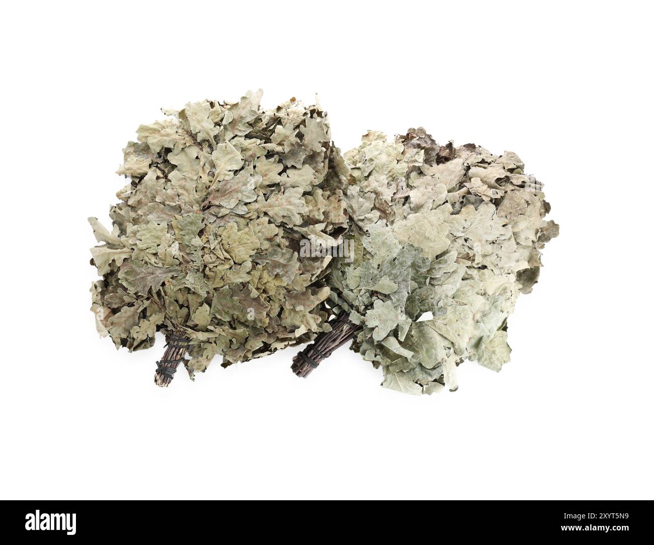 Two oak sauna whisks isolated on white, top view Stock Photo - Alamy