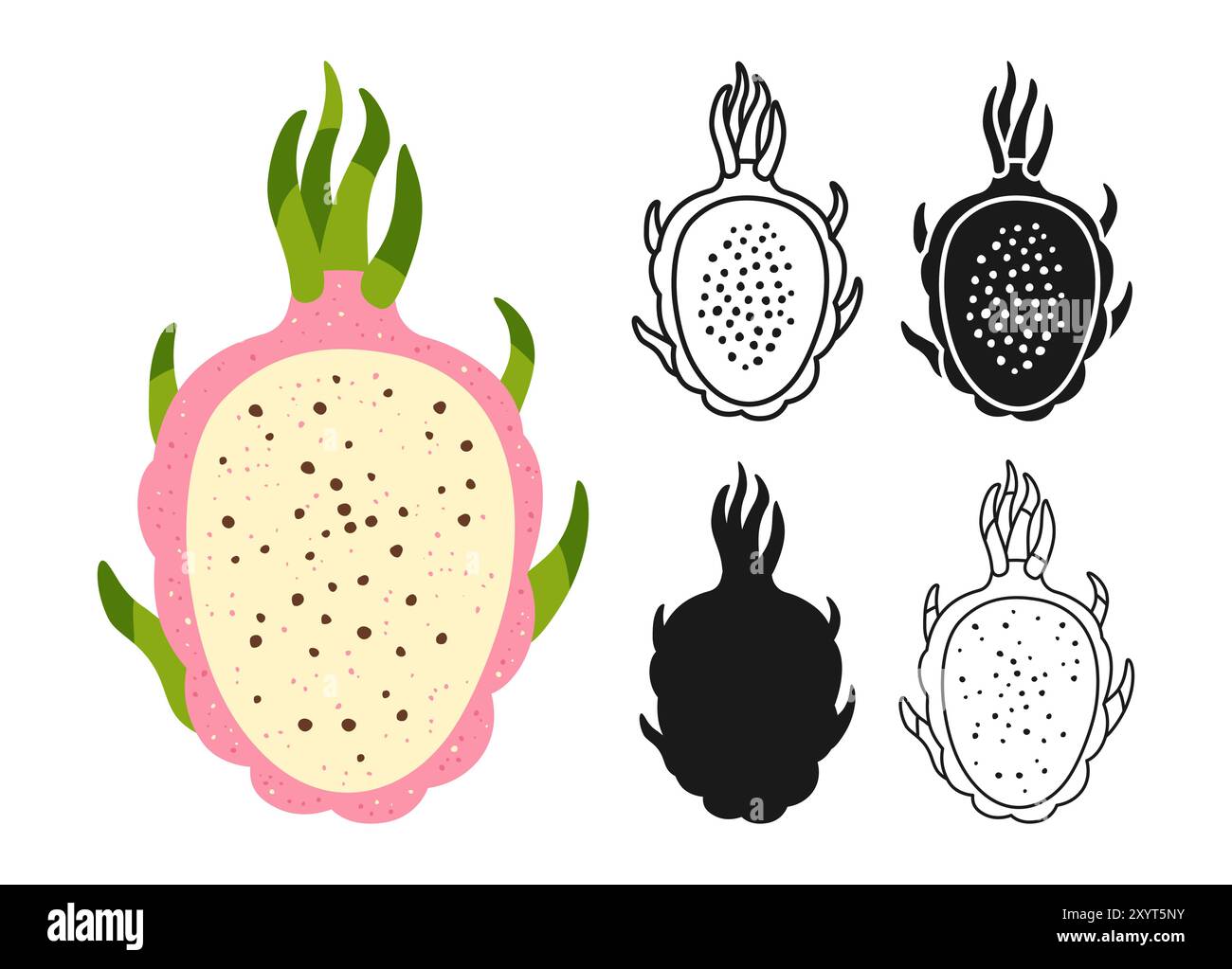 Dragon fruit symbol cartoon set. Juicy half dragon fruit linear doodle icon. Abstract tropical ...