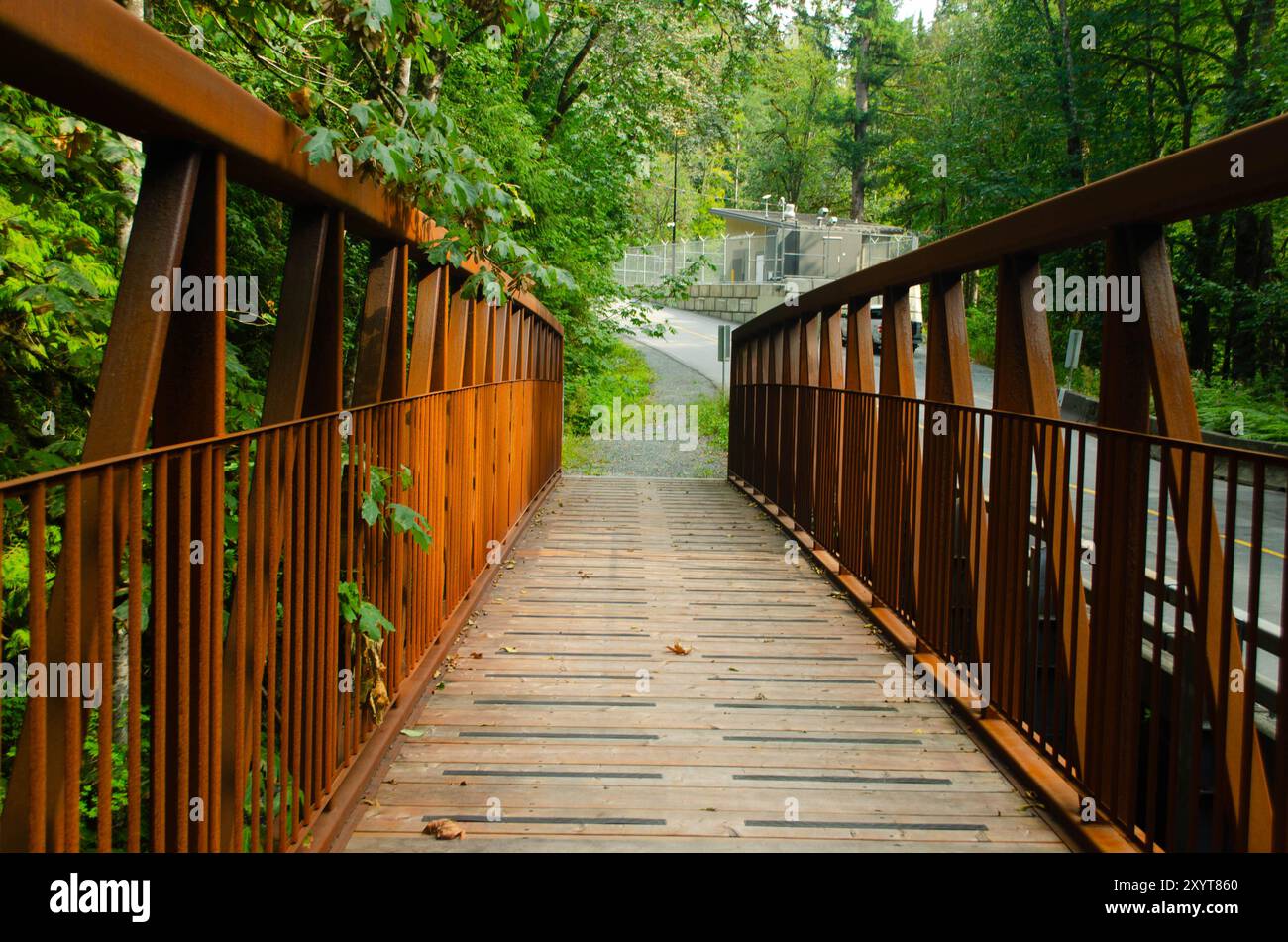Experience peaceful walk through area hi-res stock photography and ...