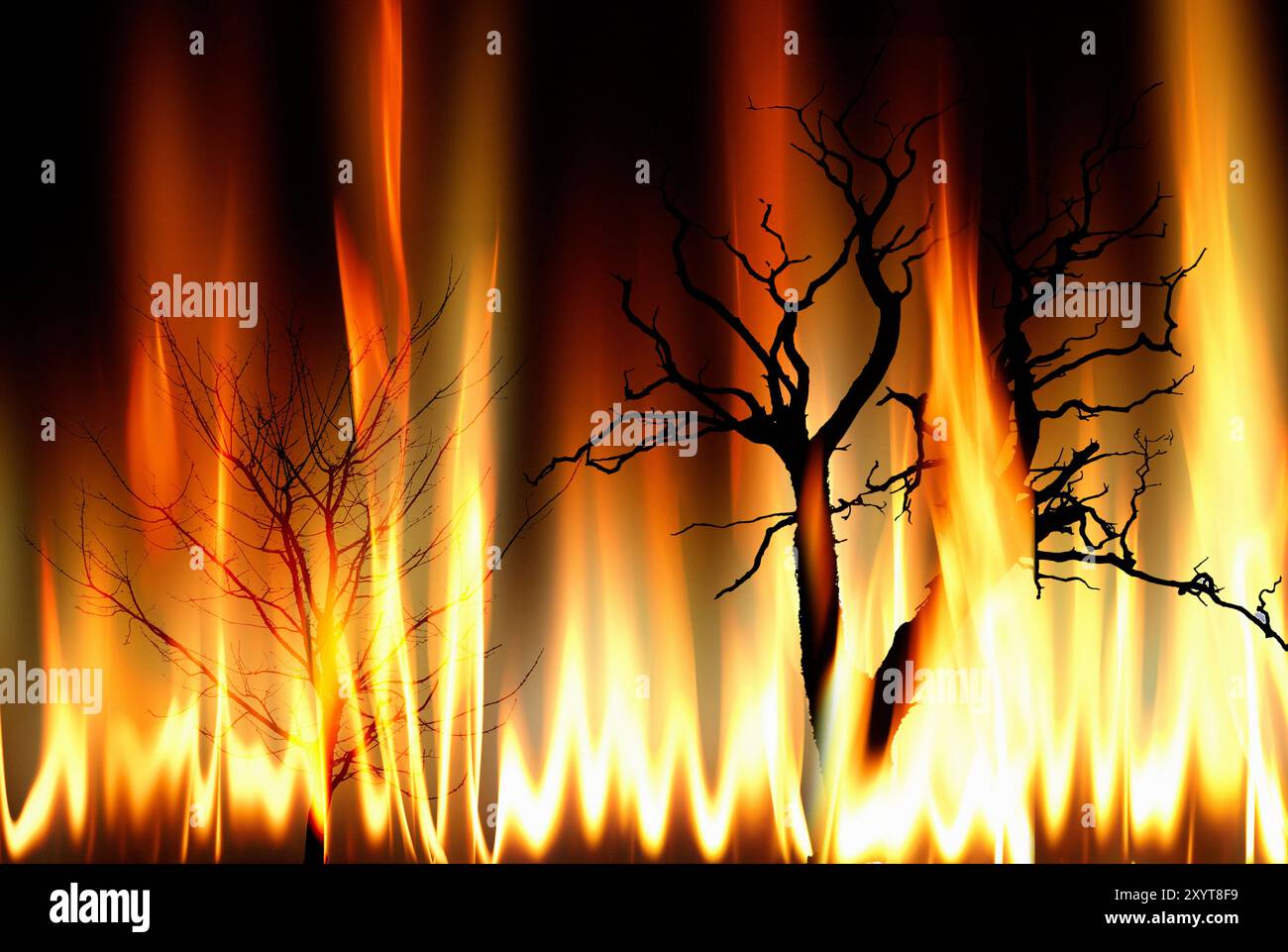 Burning trees, illustration Stock Photo - Alamy
