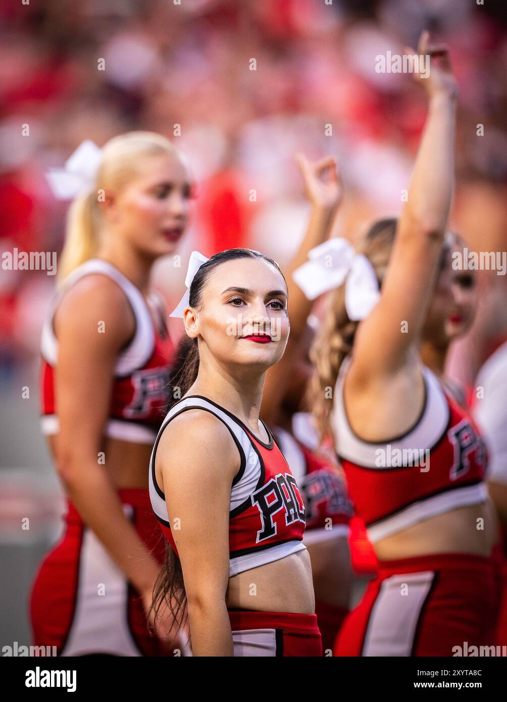 Raleigh, North Carolina, USA. 29th Aug, 2024. NC State Cheerleader ...
