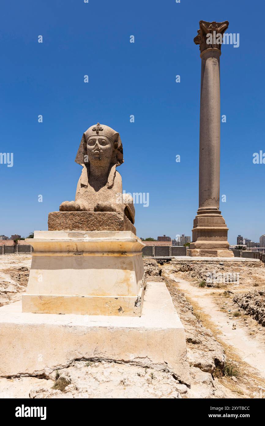 Serapeum of Alexandria, ancient Pompey's pillar and stone statue of ...