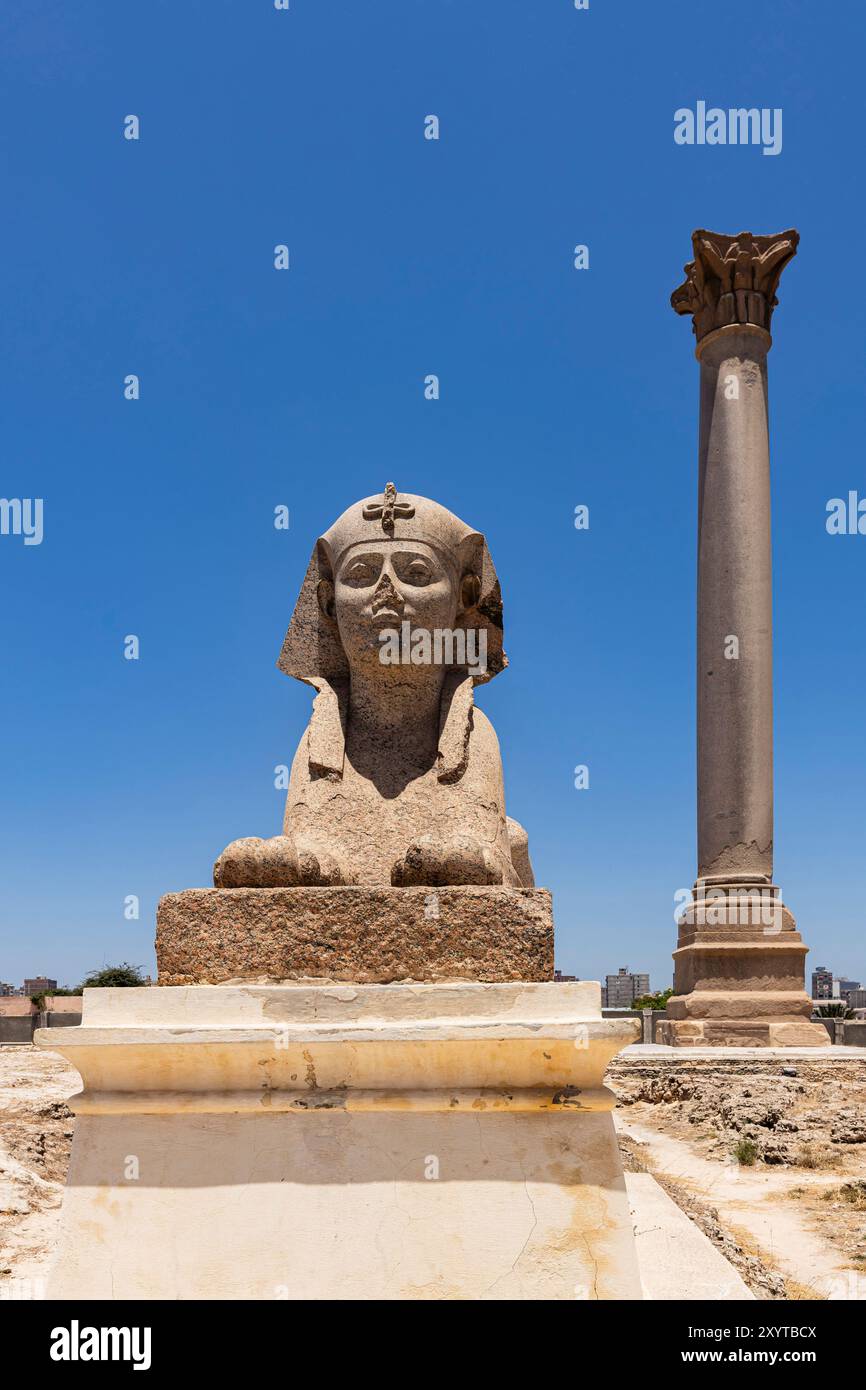 Serapeum of Alexandria, ancient Pompey's pillar and stone statue of ...