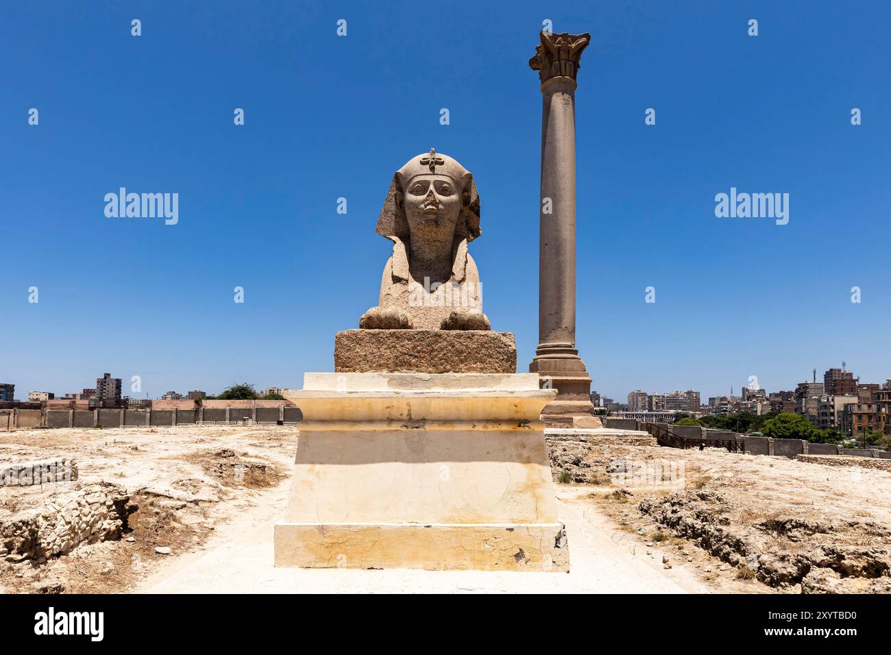 Serapeum of Alexandria, ancient Pompey's pillar and stone statue of ...