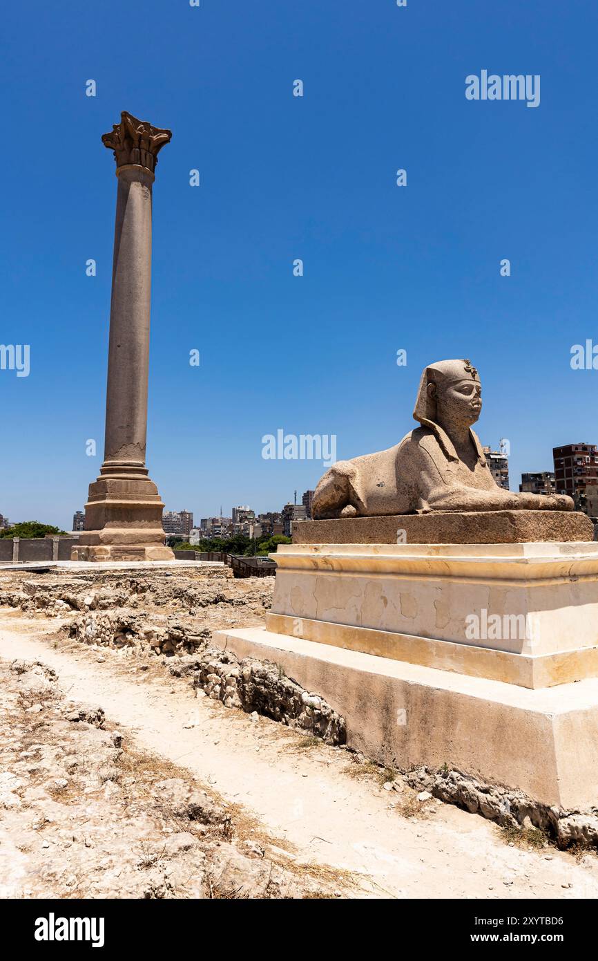 Serapeum of Alexandria, ancient Pompey's pillar and stone statue of ...