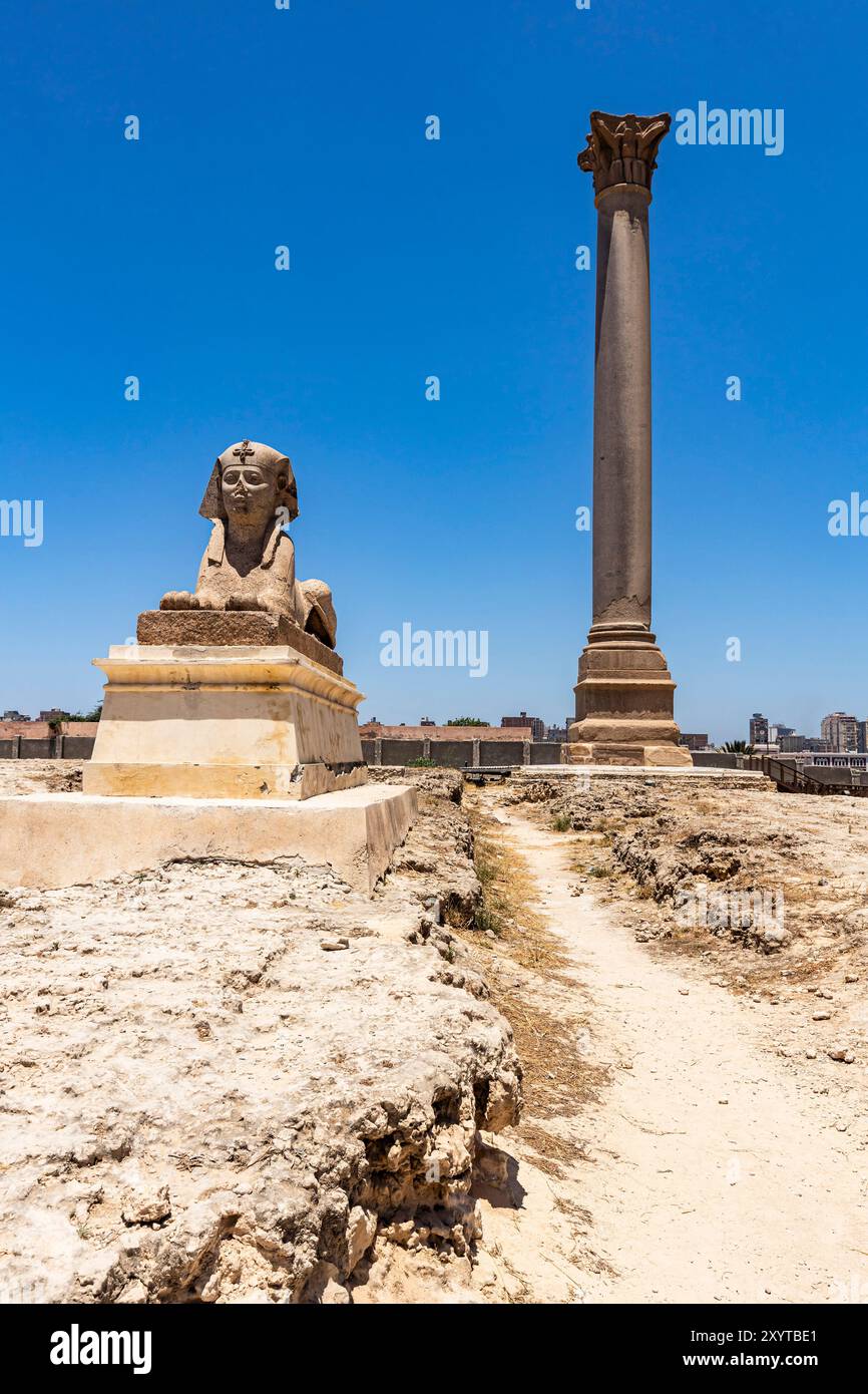 Serapeum of Alexandria, ancient Pompey's pillar and stone statue of ...