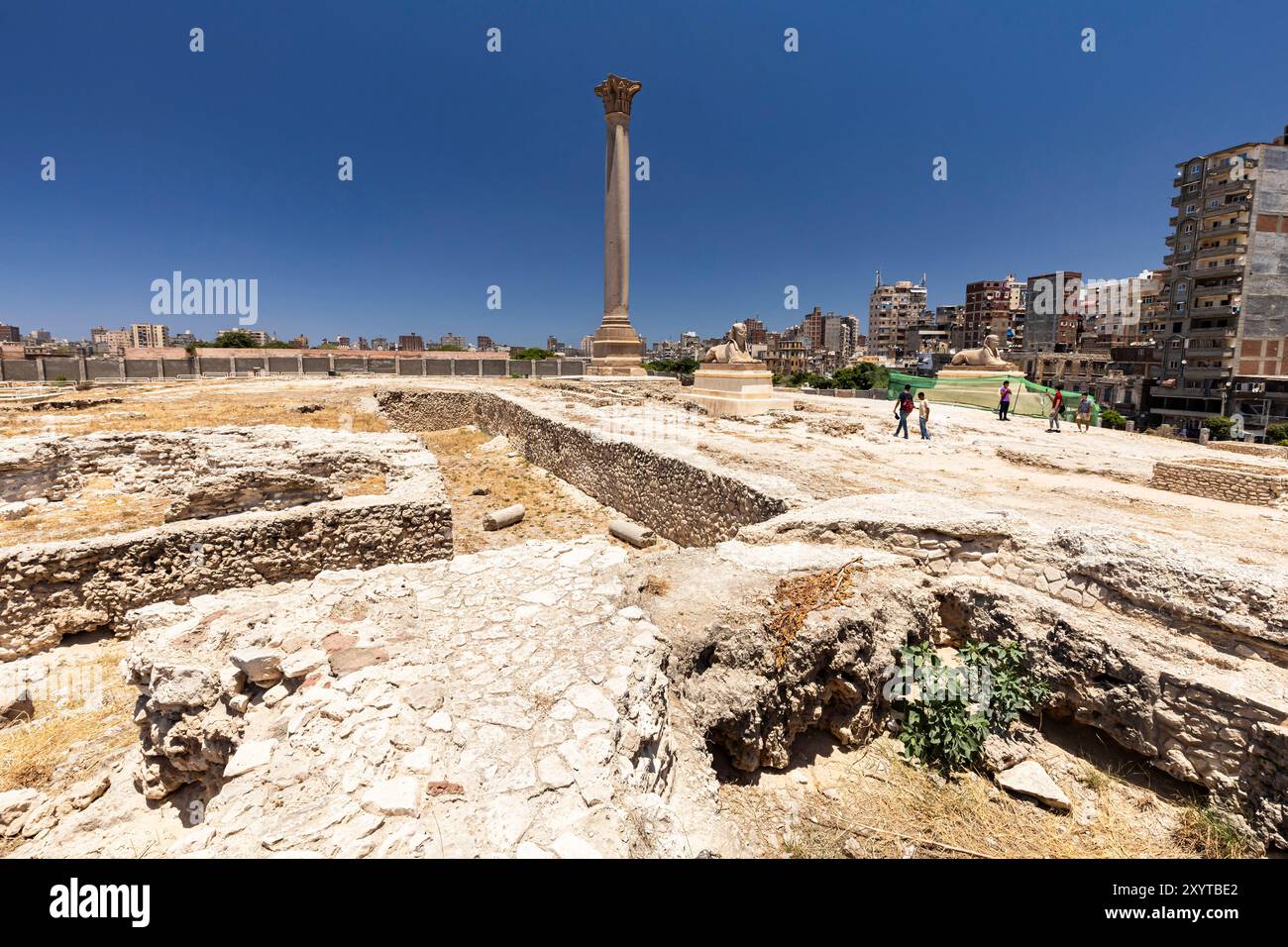 Serapeum of Alexandria, ancient Pompey's pillar, at downtown ...