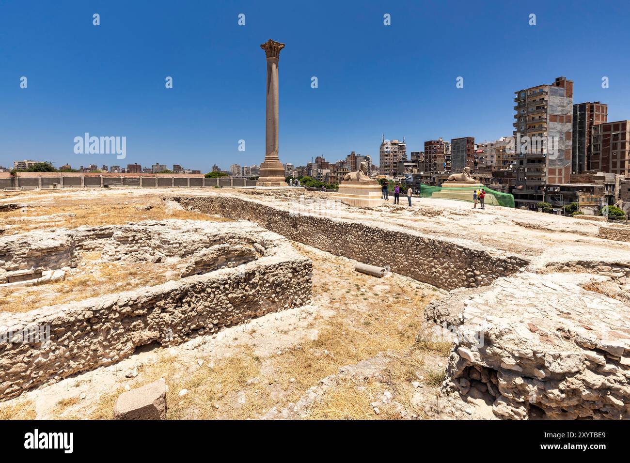 Serapeum of Alexandria, ancient Pompey's pillar, at downtown ...