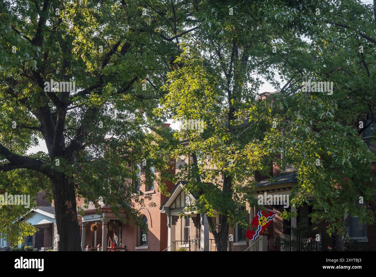 Houses in the historic Tower Grove neighborhood of St. Louis, Missouri ...