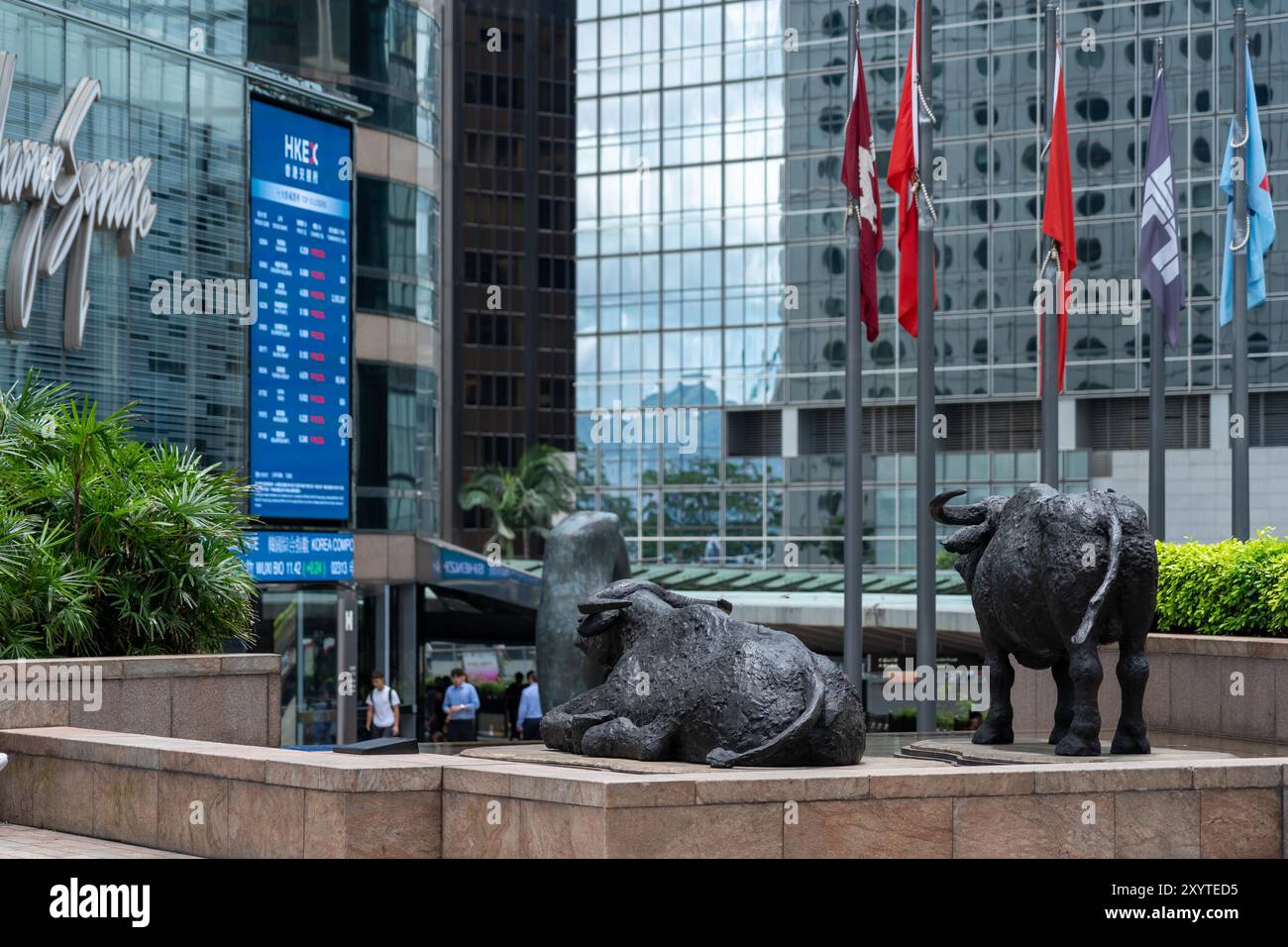 Hong Kong, China - July 03, 2024 : Two bronze bull statues stand ...