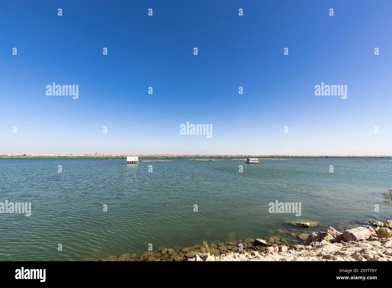 Lake Mariout(Maryut,Mariut), brackish lake, Alexandria, Egypt, North ...
