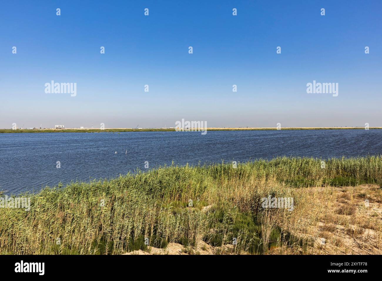 Lake Mariout(Maryut,Mariut), brackish lake, Alexandria, Egypt, North ...