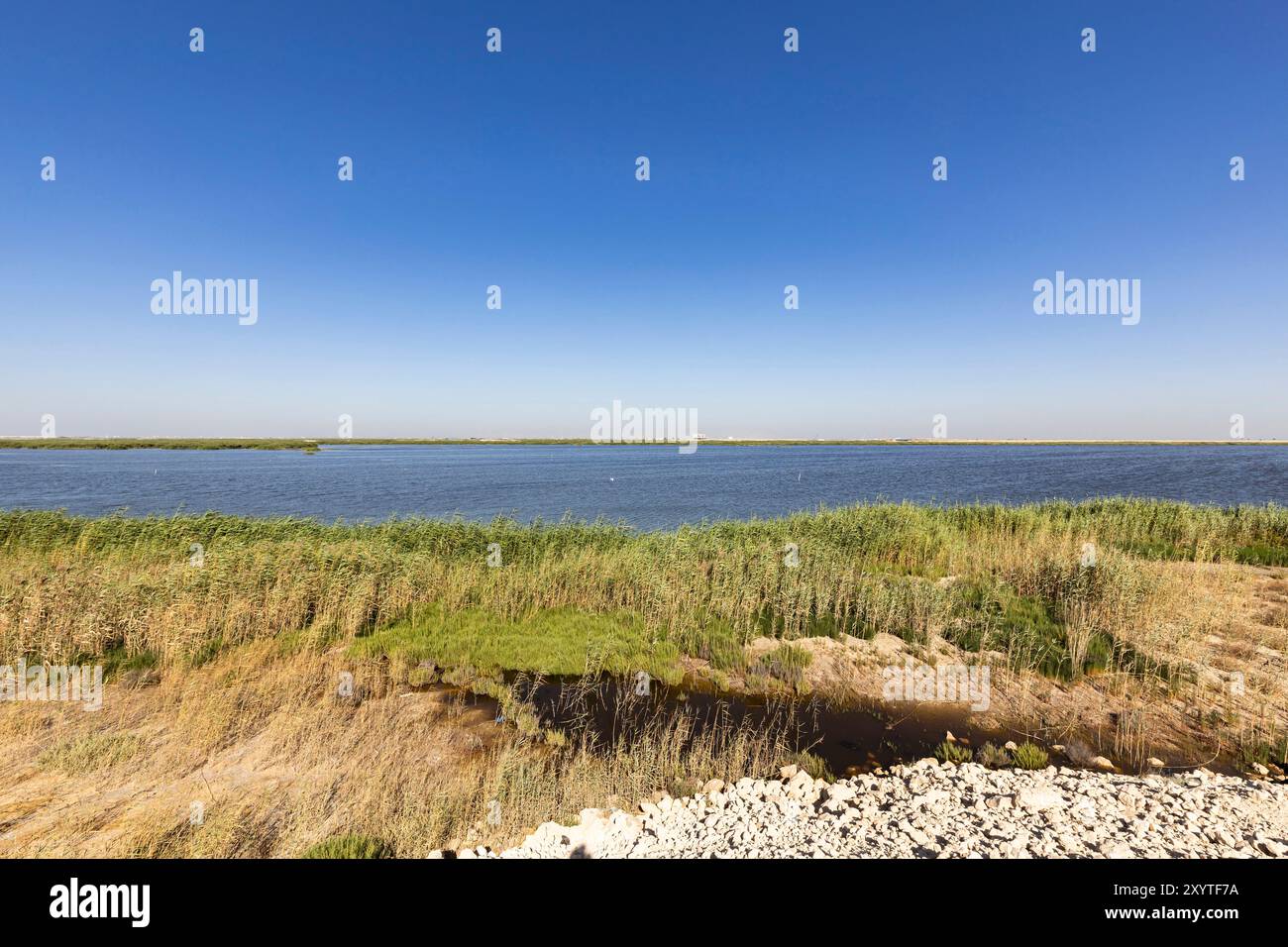 Lake Mariout(Maryut,Mariut), brackish lake, Alexandria, Egypt, North ...
