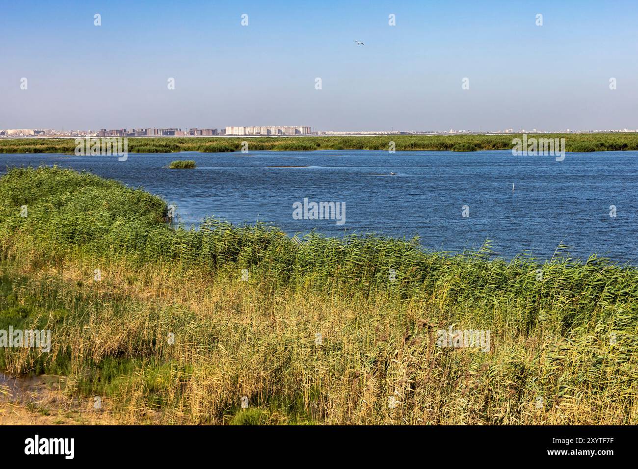 Egypt alexandria lake hi-res stock photography and images - Alamy