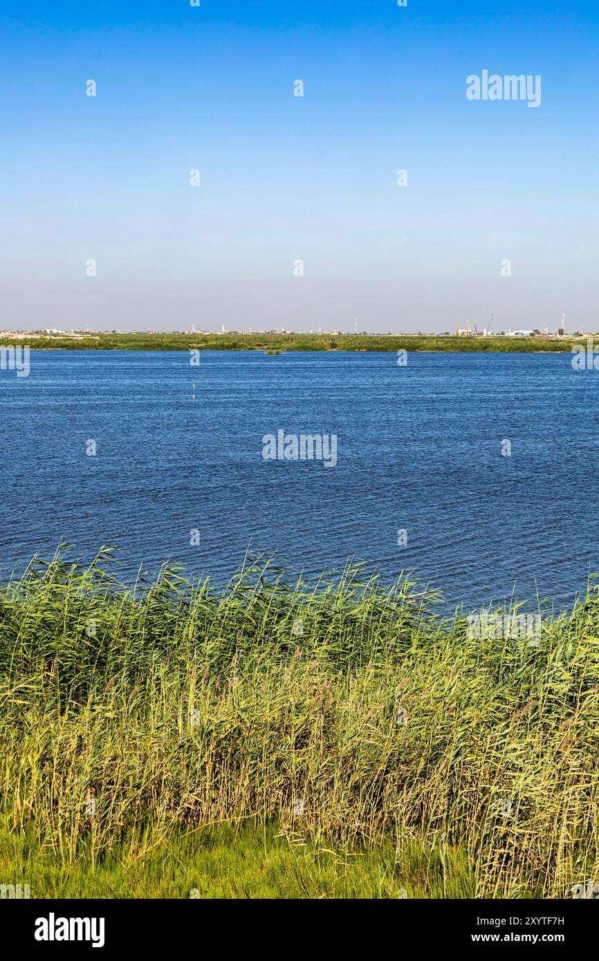 Brackish shore hi-res stock photography and images - Alamy