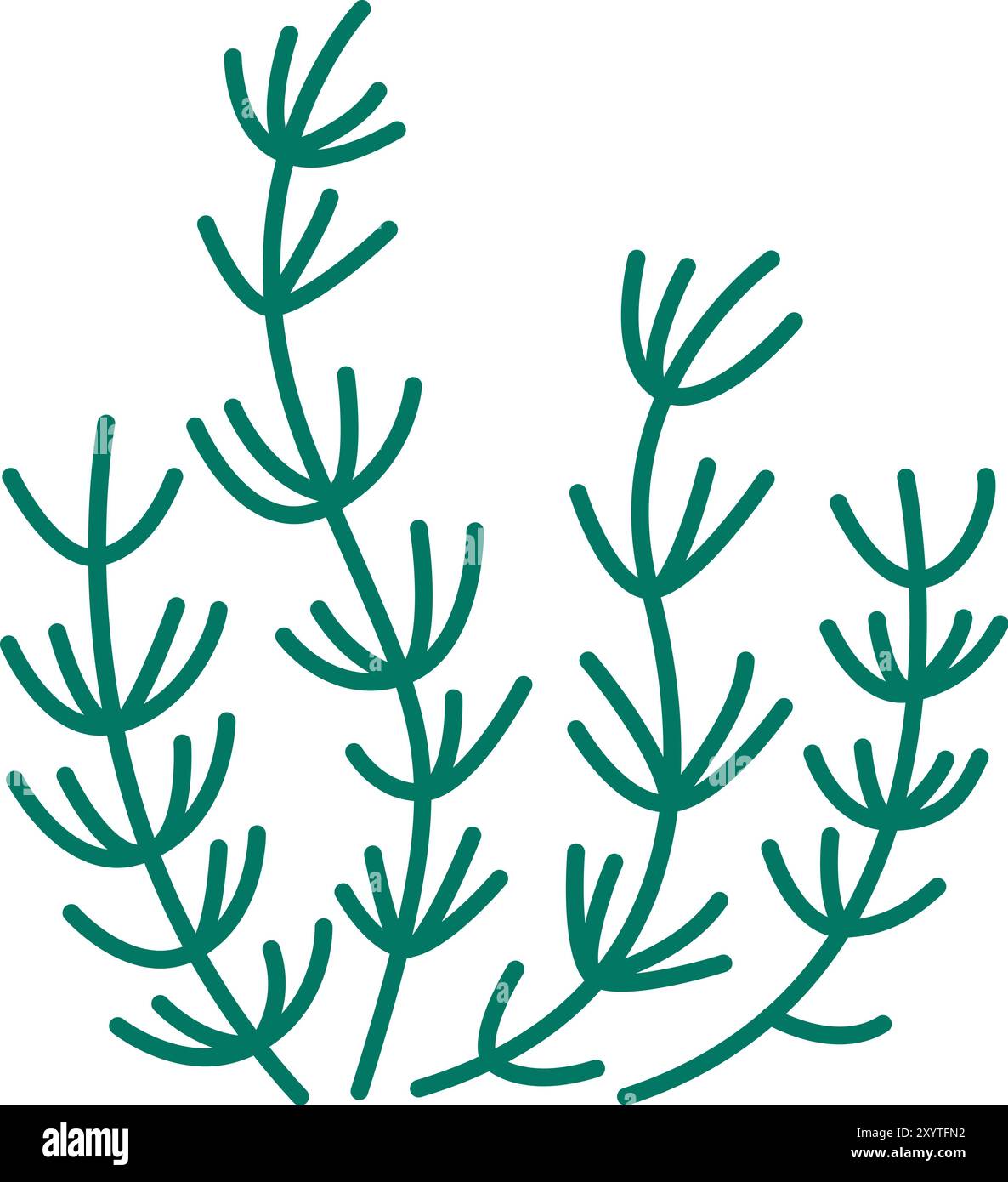 Cute fern leaves icon. Forest or woodland plant clipart isolated on ...