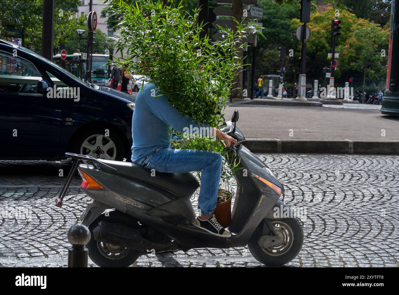 Riding house street hi-res stock photography and images - Alamy