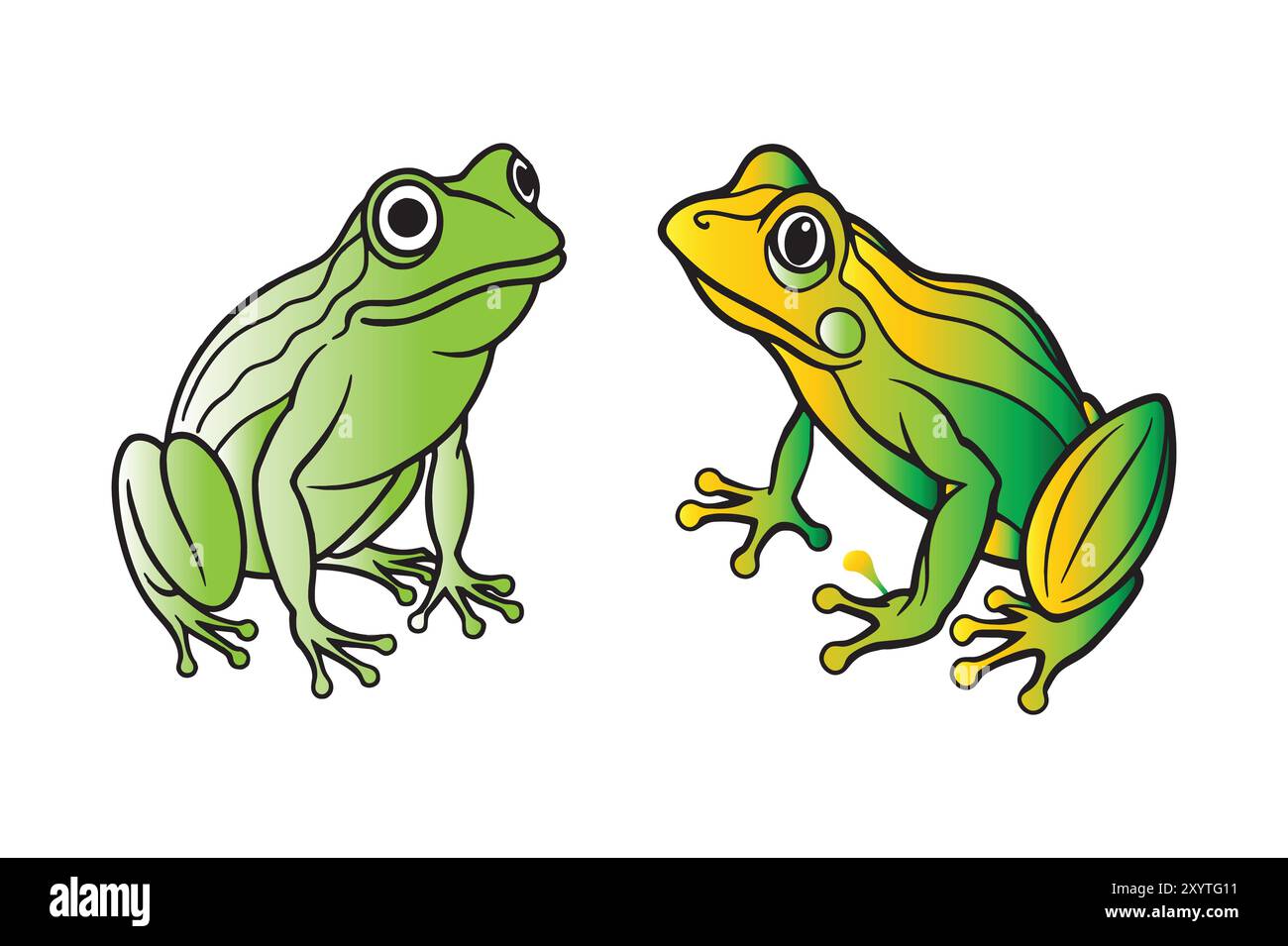 Frog vector graphics hi-res stock photography and images - Alamy