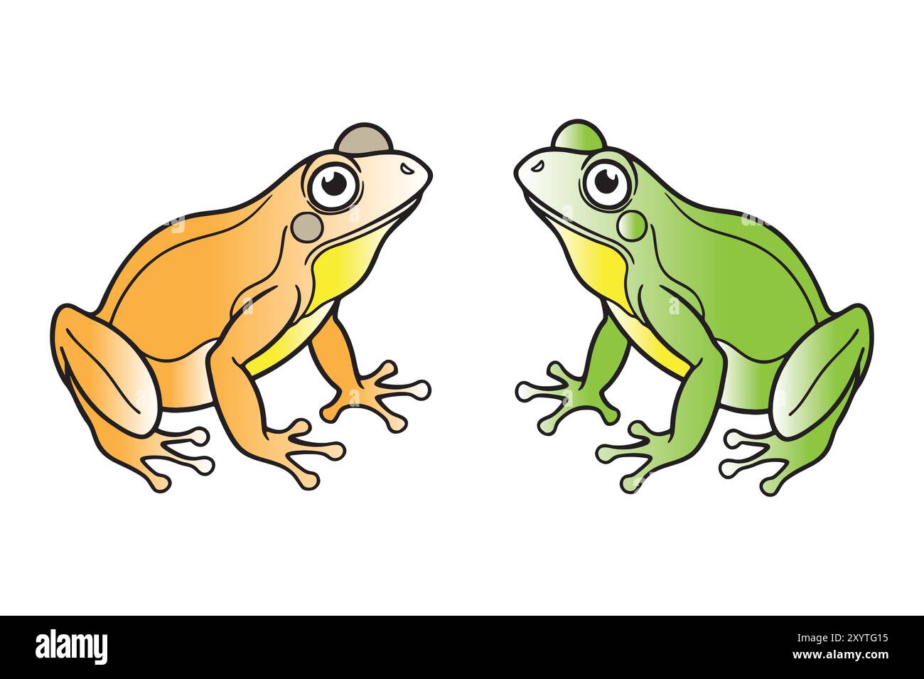 Frog vector graphics hi-res stock photography and images - Alamy