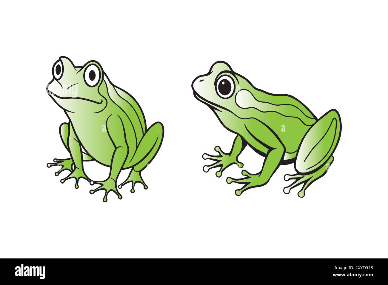 Frog vector graphics hi-res stock photography and images - Alamy