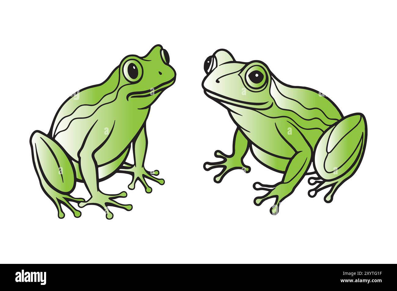 Frog vector graphics hi-res stock photography and images - Alamy