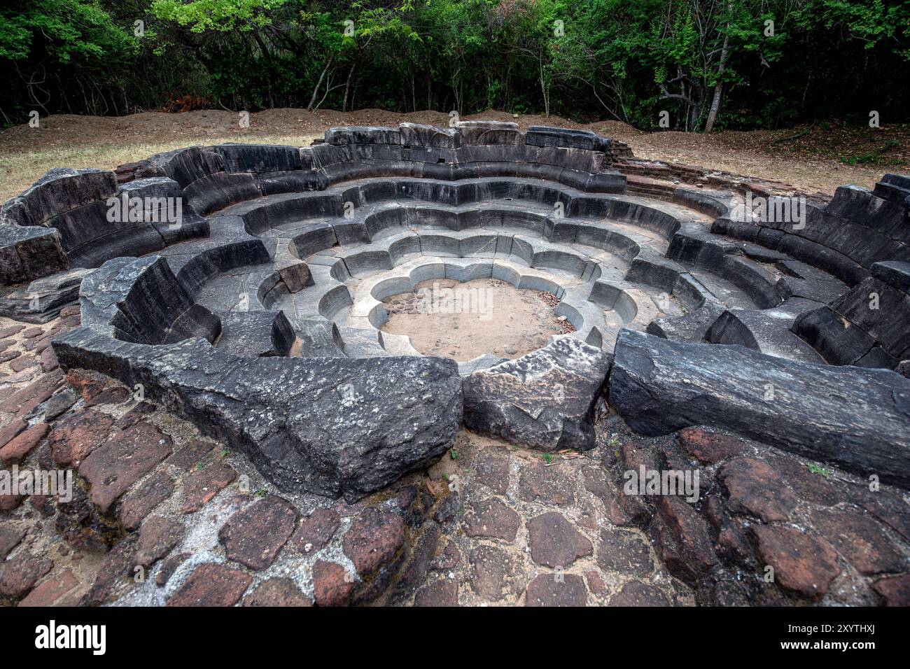 The stone carved Lotus Pond at the ancient site of Polonnaruwa in Sri ...