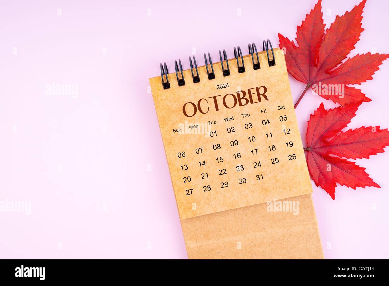 October 2024 monthly calendar and fall leaves on pink color background ...